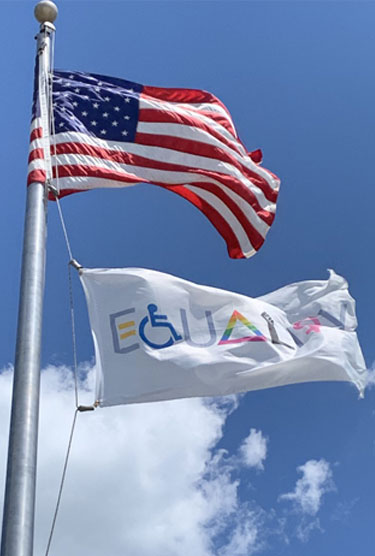 Diversity, Equity, and Inclusion at Lisle Park District